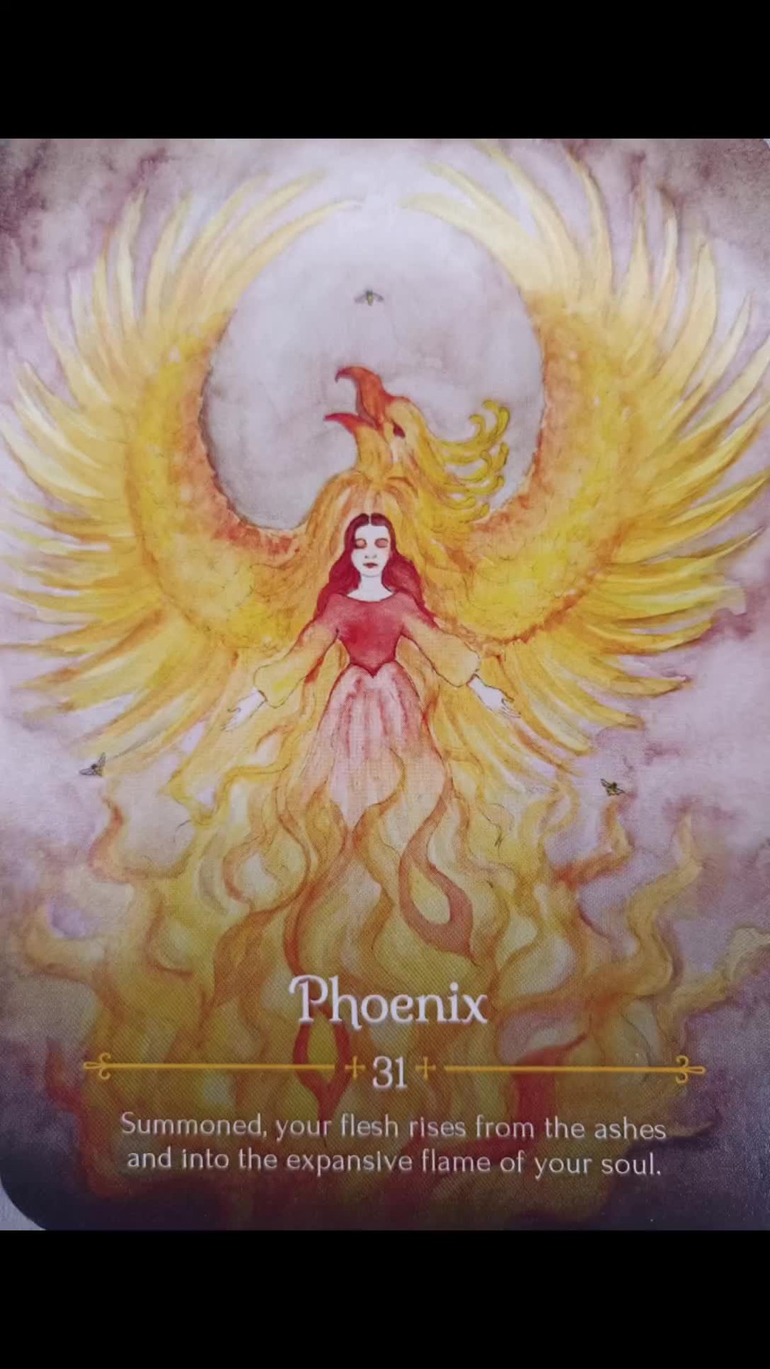 Tarot de Luz | Deva Multidimensional Box