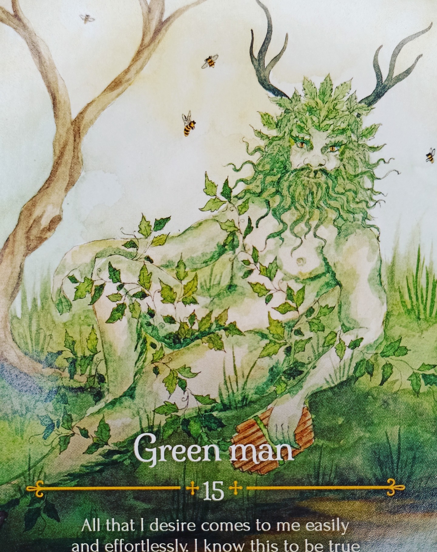 Tarot de Luz | Deva Multidimensional Box